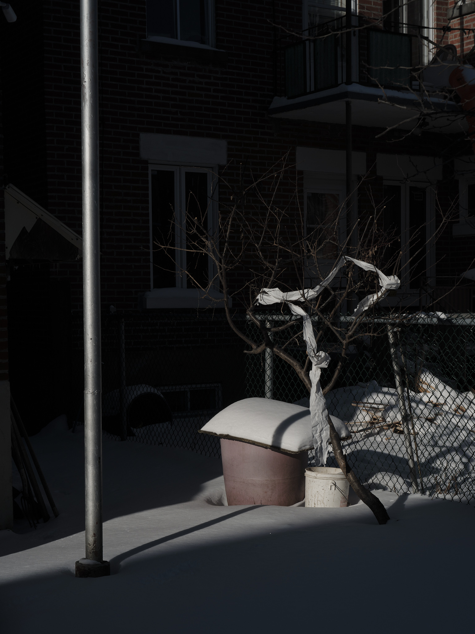 March 20, 2025 | Sculptureaday