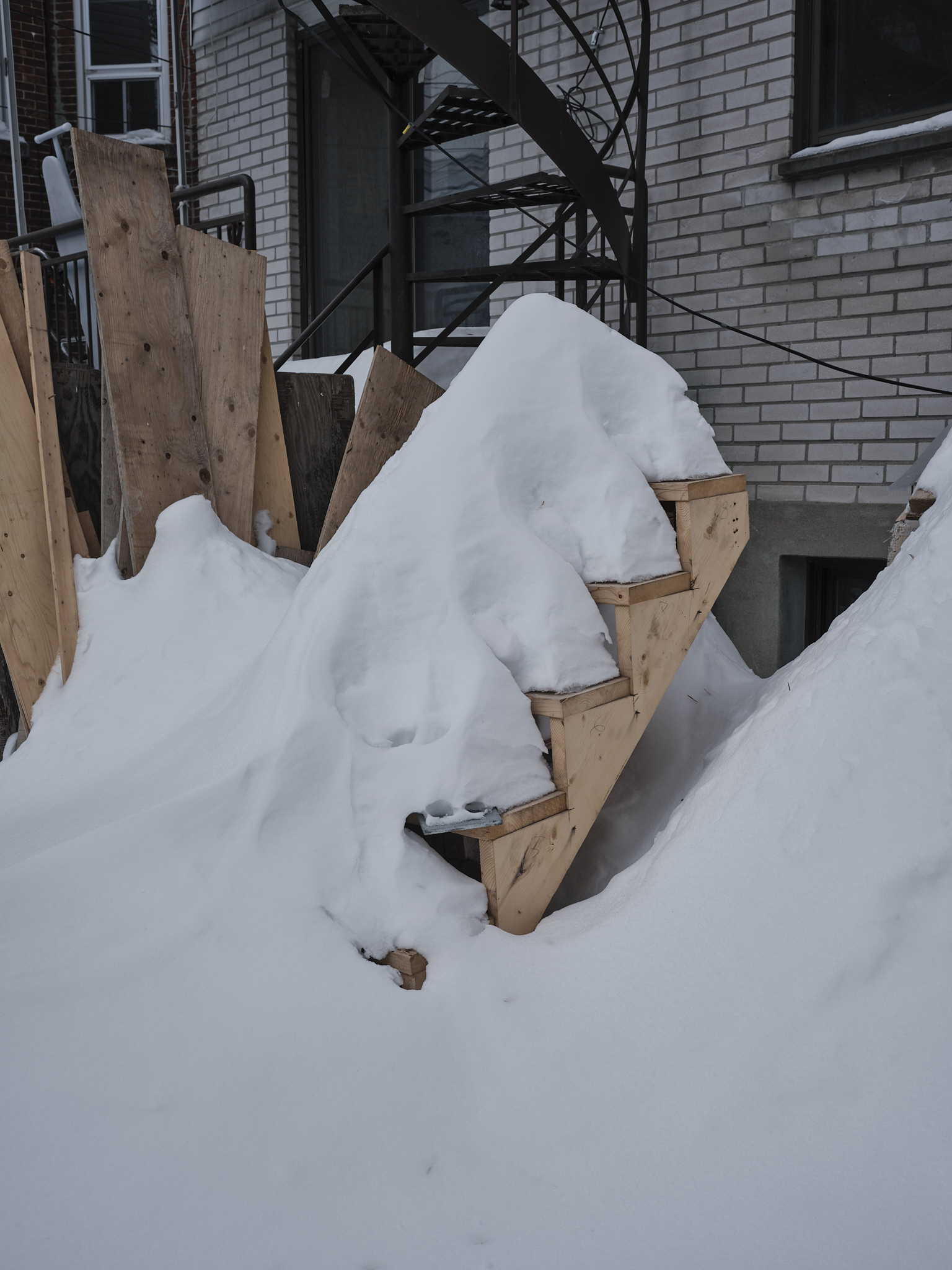 March 29, 2025 | Sculptureaday