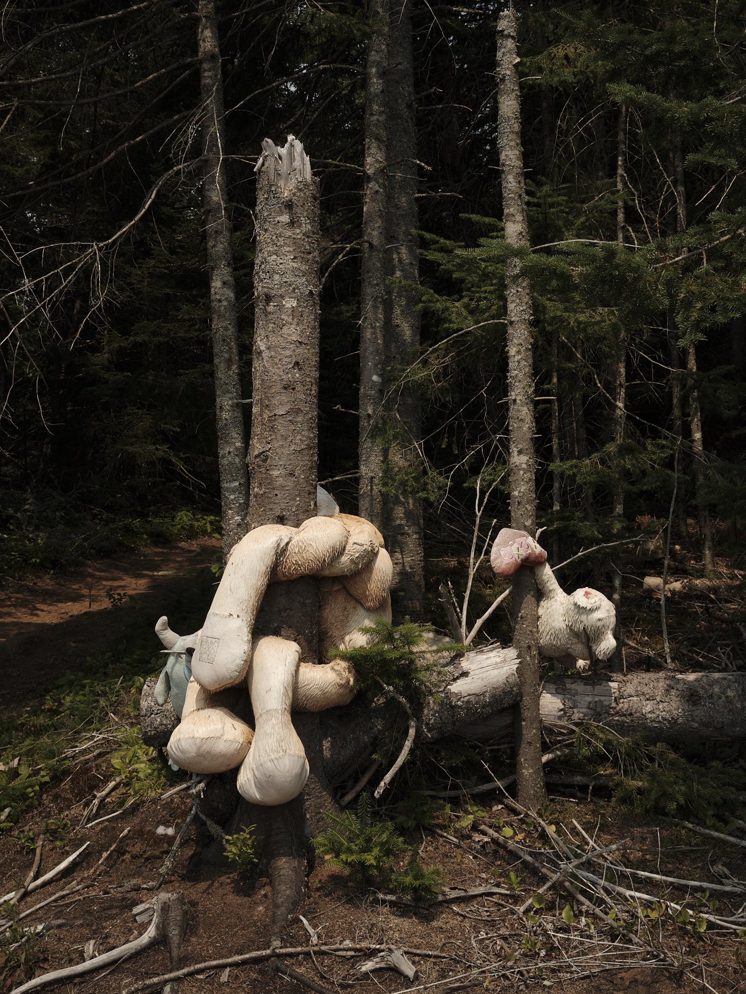 September 15, 2025 | Sculptureaday